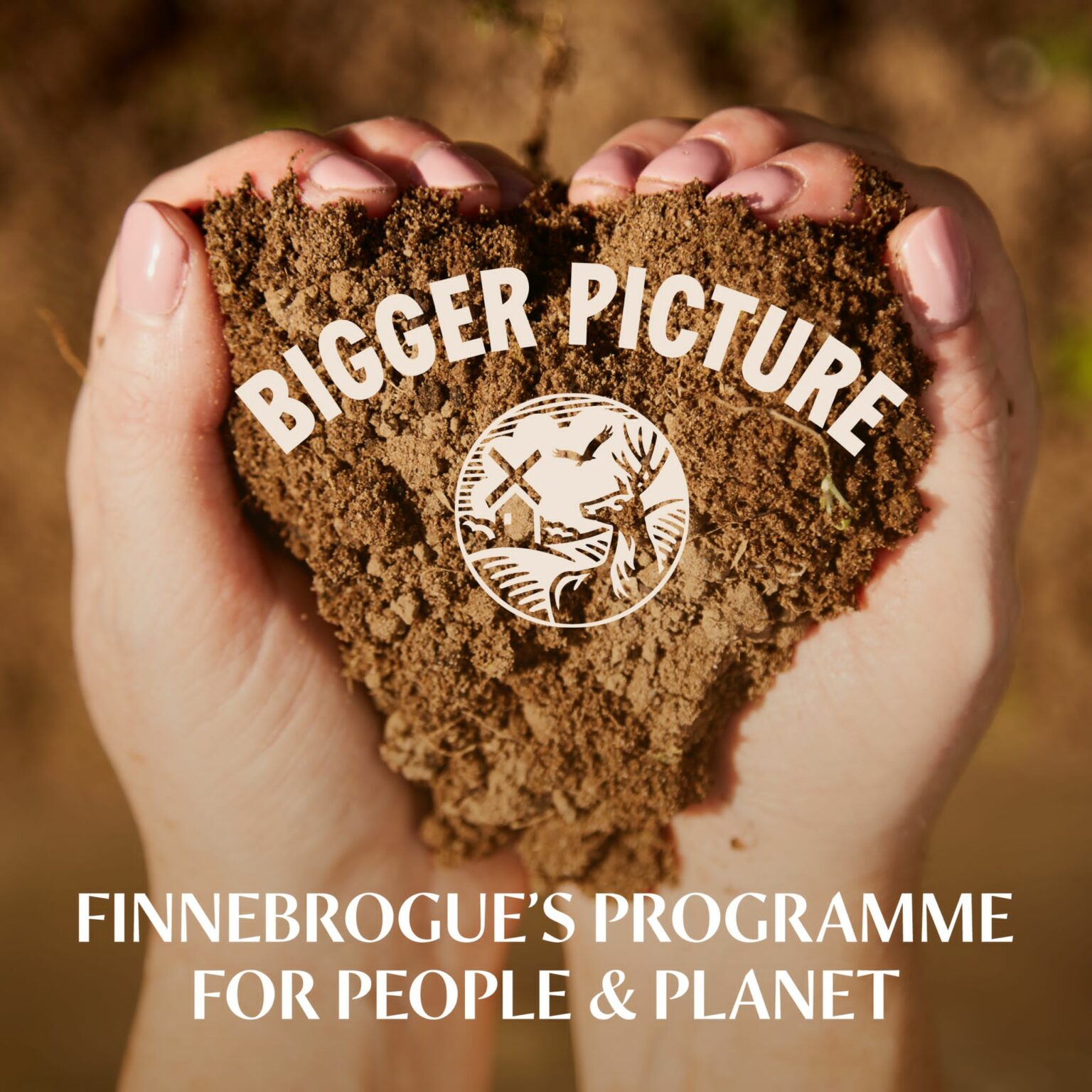 Finnebrogue - Finnebrogue